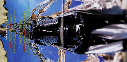 Anarchy by Busta Rhymes (CD 2000 Elektra) in New York City | Rap - The ...