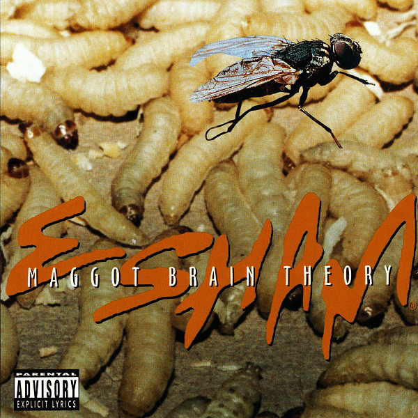 Maggot Brain Theory by Esham (CD EP 1994 Reel Life Productions) in ...