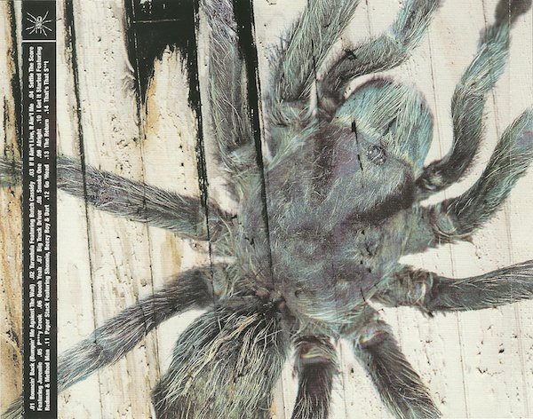 Tarantula by Mystikal (CD 2001 Jive) in New Orleans | Rap - The Good Ol ...